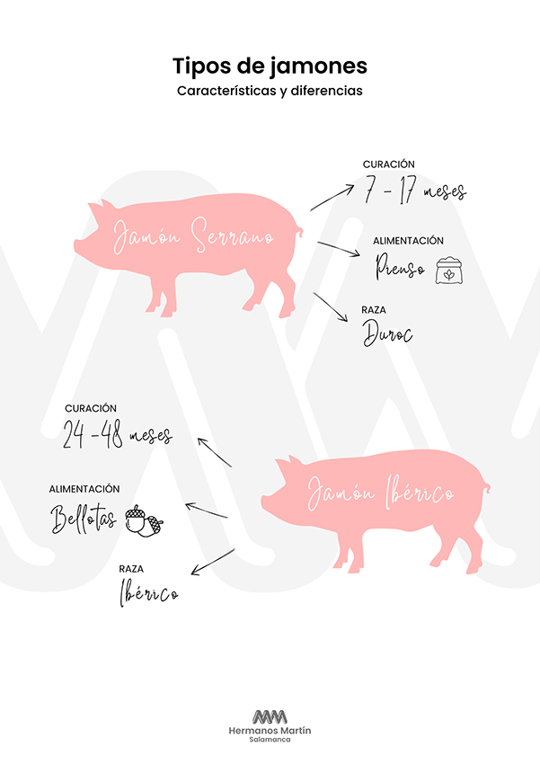 Tipos de Jamón que Existen y sus diferencias | MM Salamanca - CÁRNICAS ...